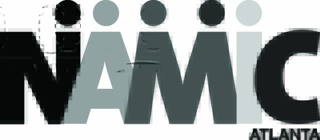 NAMIC-Atlanta » NAMIC Next » Multi-ethnic Diversity in the ...